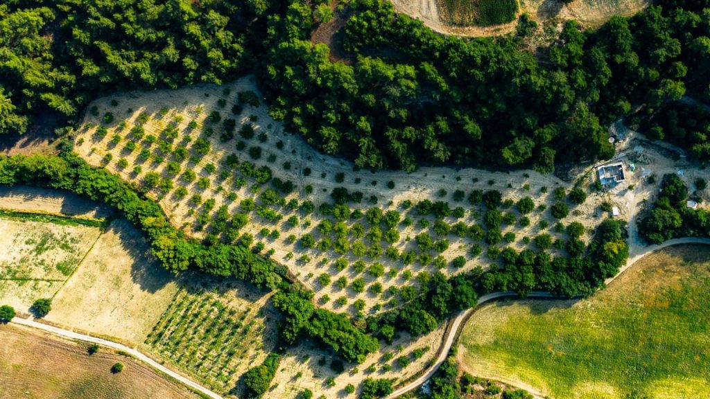 Why Invest in Agriculture in Turkey? - Invest4land. Investing in ...