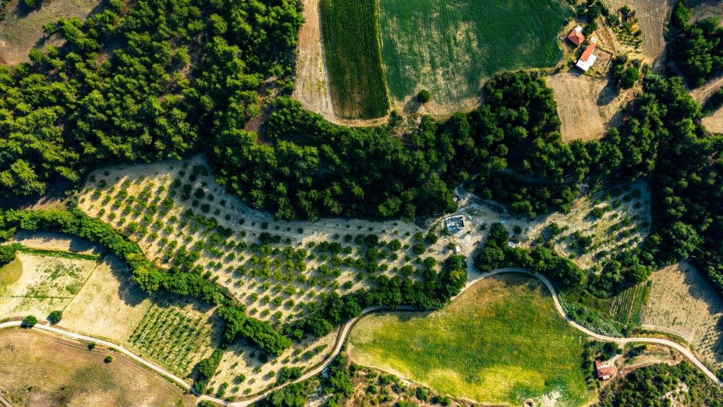 Almond and Walnut Farms in Turkey | Invest4land